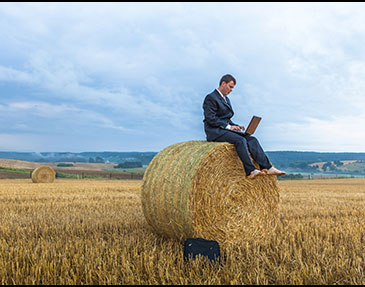 Challenges businesses face in a rural area? - Kelvedonit.com