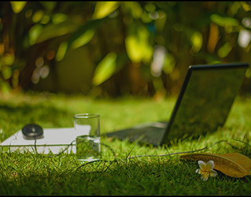 Is your workplace green? - Kelvedonit.com